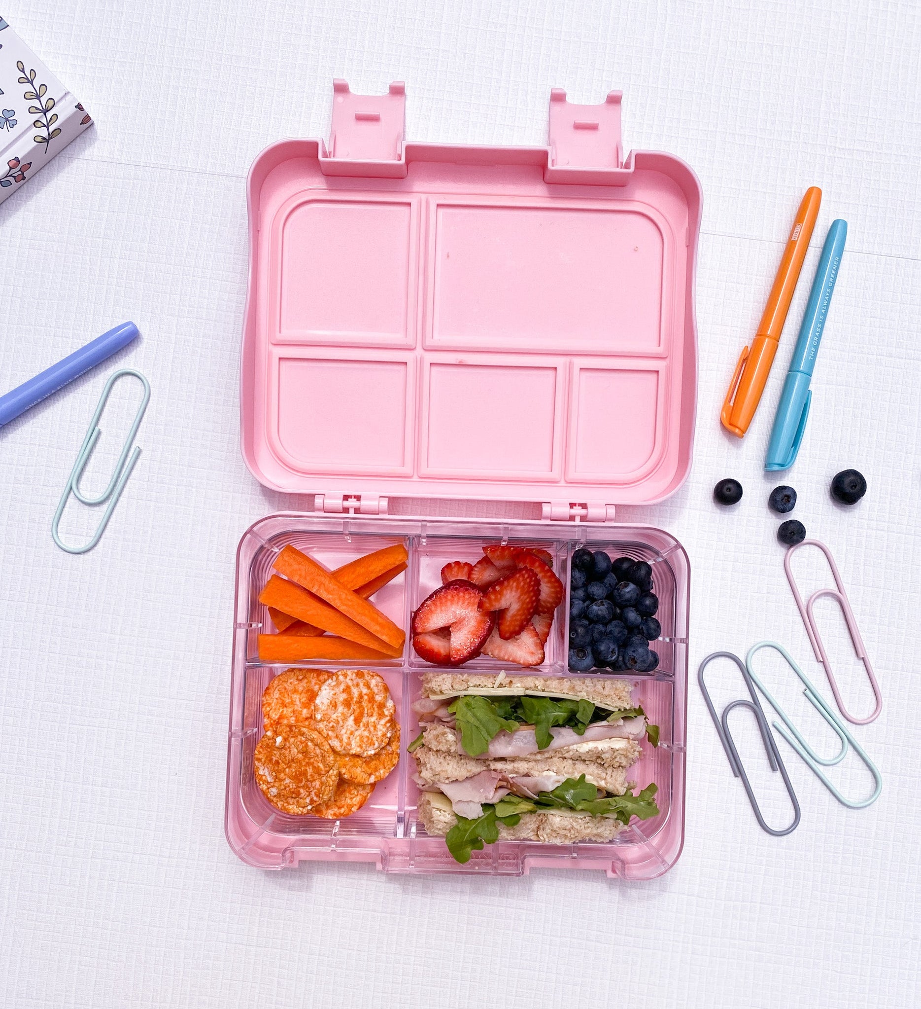 Bento Boxes for Kids | Preschoolers lunch box — Elkwood Designs
